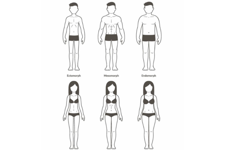 What Are The 3 Body Type And How Can They Affect Your Diet