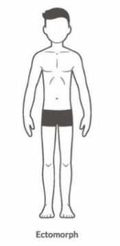 What Are The 3 Body Type And How Can They Affect Your Diet